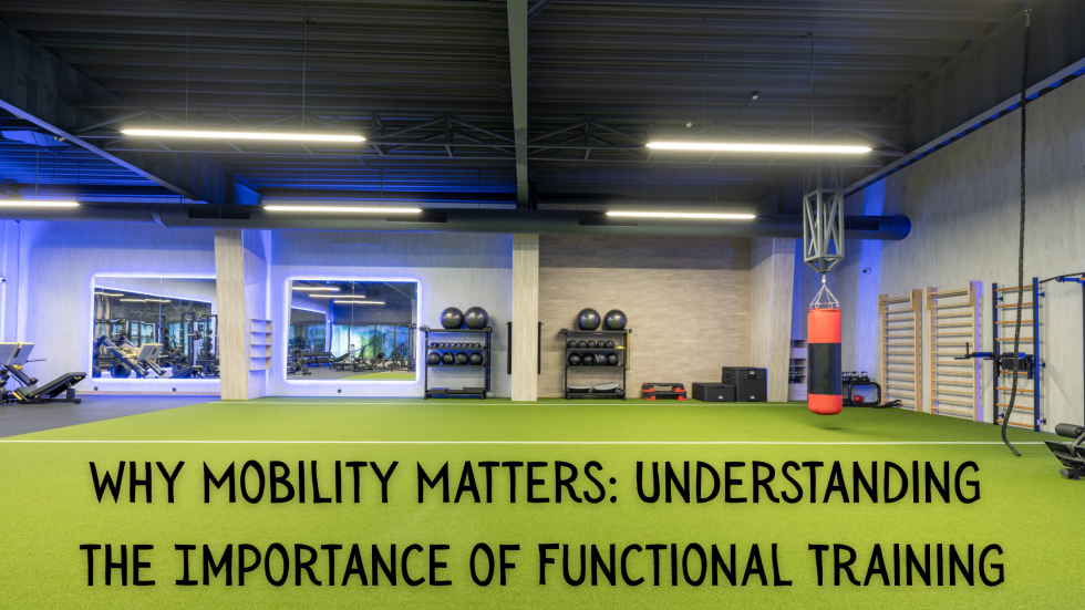 Why Mobility Matters: Understanding the Importance of Functional ...